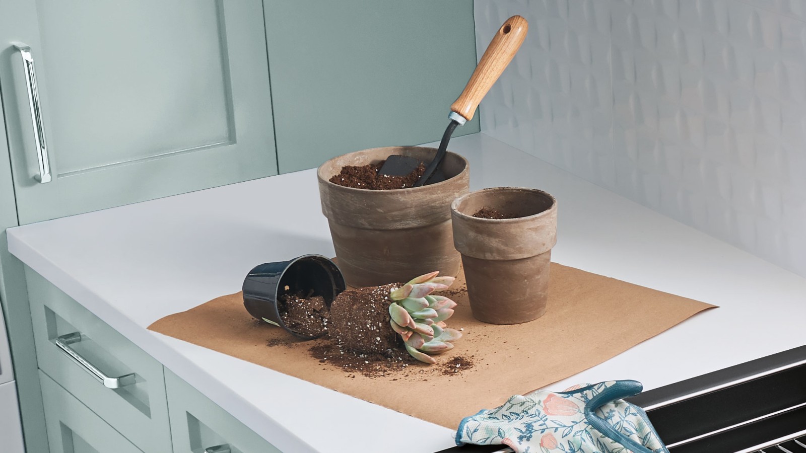 The Best Sink Accessories For Plants & Gardening | BLANCO