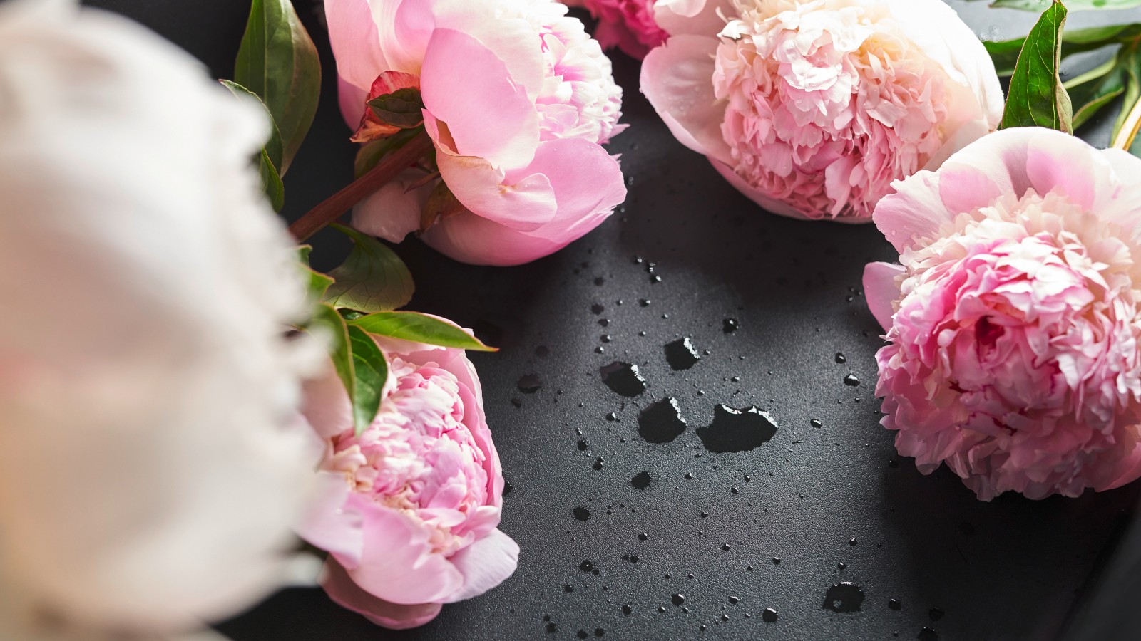 SILGRANIT Kitchen Sink Collections | BLANCO