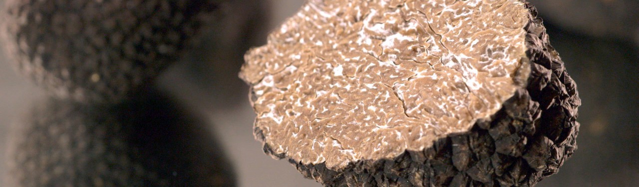 SILGRANIT Sink Colors | Browse SILGRANT Colors | BLANCO